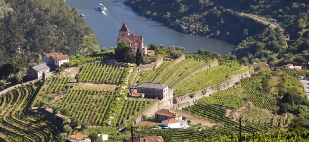 Enoturismo por el Douro – Destino y Sabor